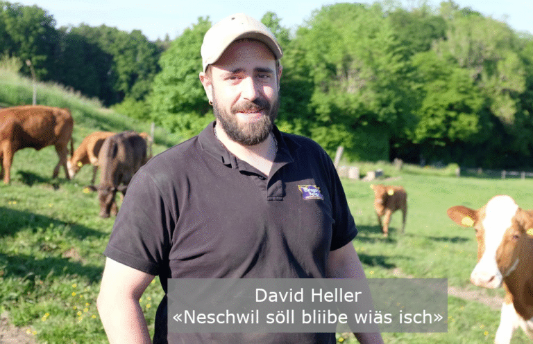 David Heller - Neschwil 1200 Jahr